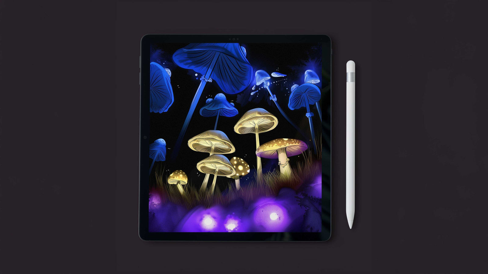 KANSO Digital & Affiliate Solutions – KANSO Digital & Affiliate Solutions